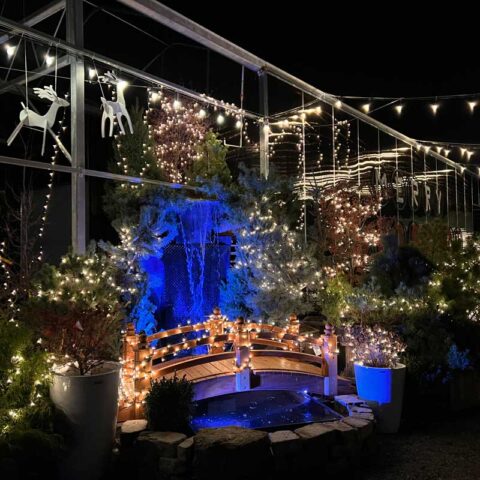 Drive Thru Christmas Light Display - Everett's Gardens