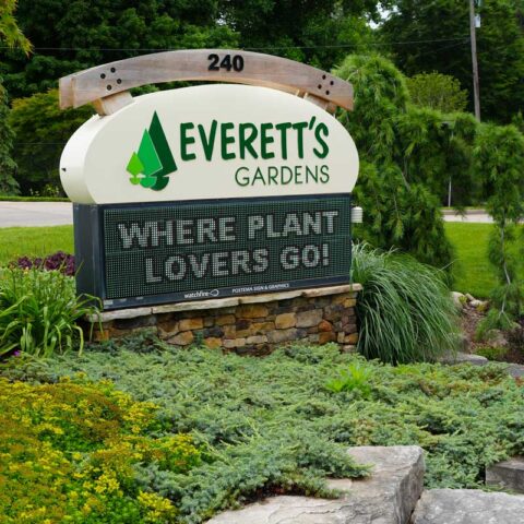 What to Plant in Michigan by Month - Everett's Gardens